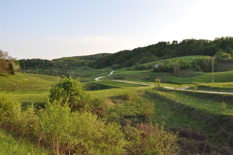 Vrhovske vrtače - Krajinski park Kolpa